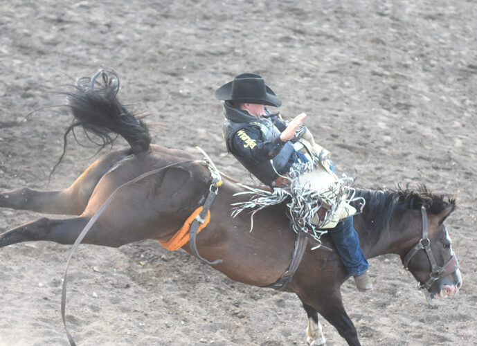 It’s ‘home for me’ | News, Sports, Jobs - Marshall Independent